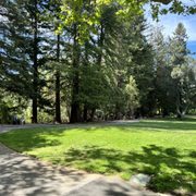 SHOUP PARK - 97 Photos & 62 Reviews - 400 University Ave, Los Altos, CA ...