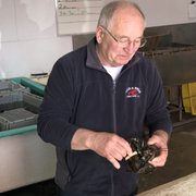 RYER’S LOBSTERS - 57 Photos & 32 Reviews - 8494 Peggys Cove Road ...