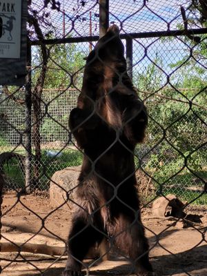 ALAMEDA PARK ZOO - Updated January 2026 - 157 Photos & 53 Reviews ...