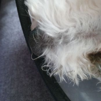 CHUCKANUT VALLEY VETERINARY CLINIC - Updated March 2025 - 11 Photos ...