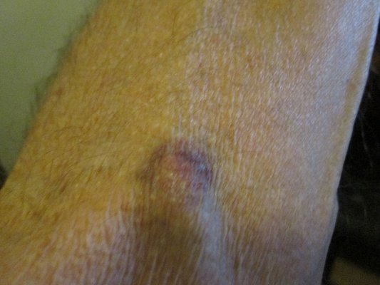 DESERT ADVANCED IMAGING - Updated July 2024 - 80 Reviews - 35800 Bob ...