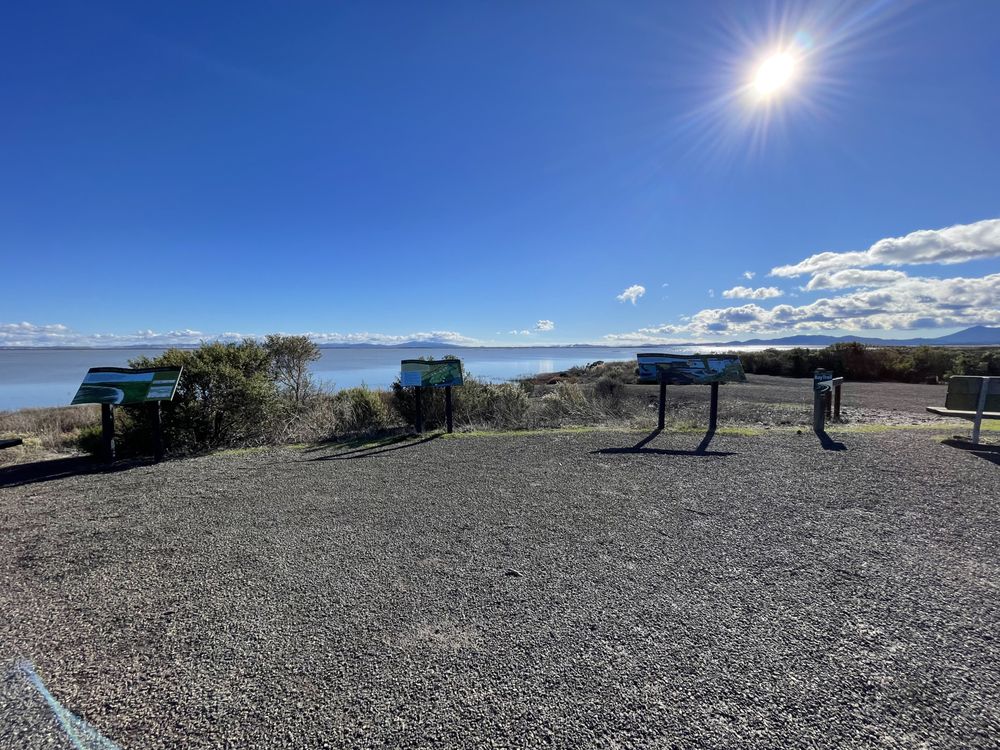 SAN PABLO BAY NATIONAL WILDLIFE REFUGE - Updated June 2025 - 38 Photos ...