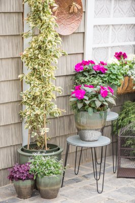 SPRAGUE’S NURSERY & GARDEN CENTER - Updated July 2025 - 21 Photos & 11 ...