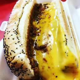 THE DOGFATHER - Updated August 2025 - 68 Photos & 259 Reviews - 957 ...