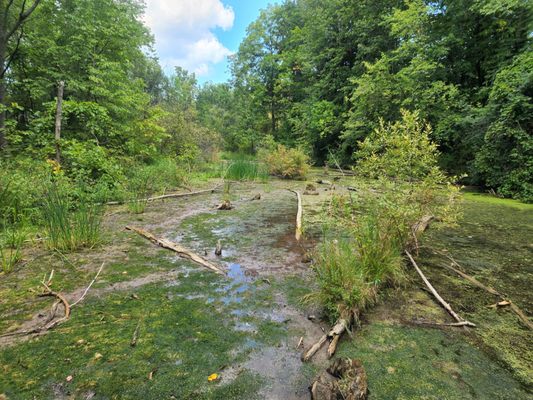 RIVER BEND NATURE CENTER - Updated August 2025 - 13 Photos - 3600 N ...