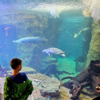 THE DALLAS WORLD AQUARIUM - Updated January 2025 - 3675 Photos & 1287 ...