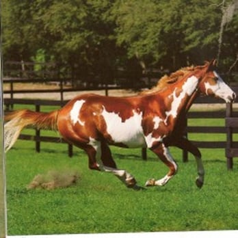 ARGYLE FEED & HARDWARE - Updated January 2026 - 14 Reviews - 3450 Hwy ...