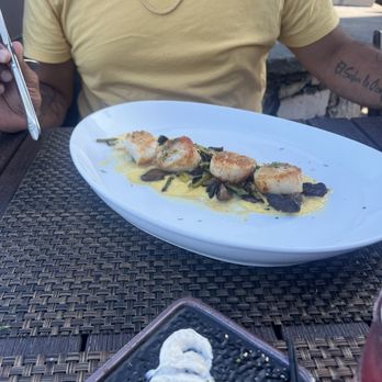 BLU POINTE - Updated March 2025 - 849 Photos & 688 Reviews - 120 Front ...