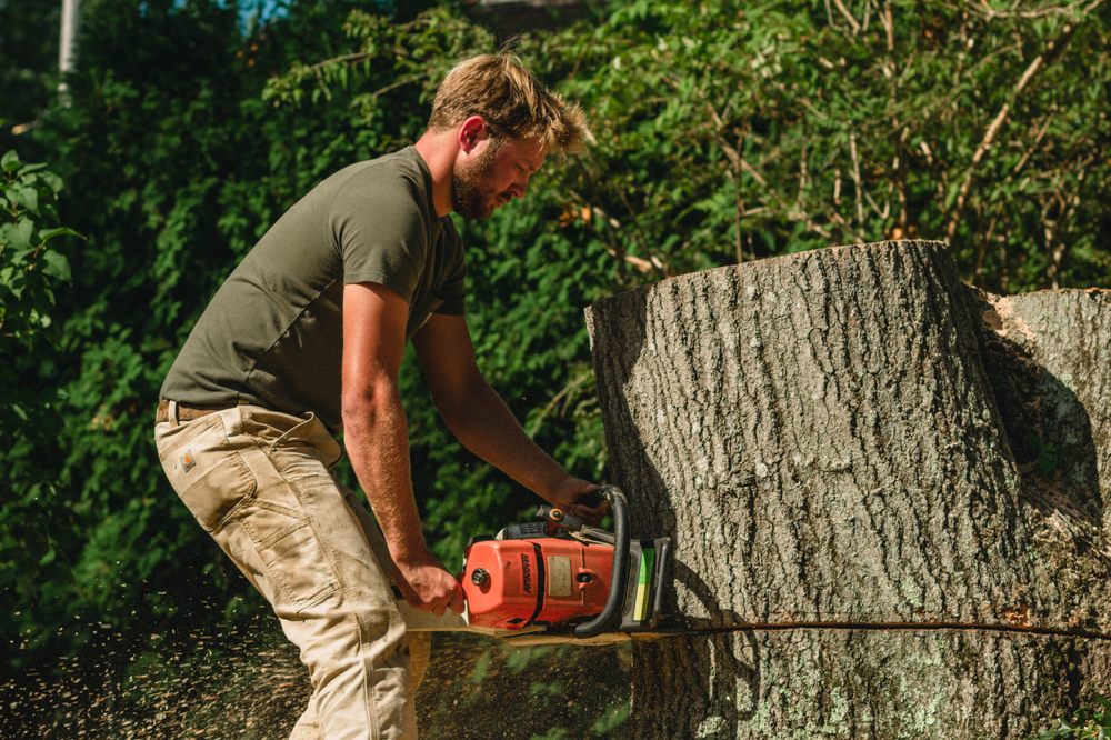 HELGER BROS TREE SERVICE - Updated December 2025 - 65 Crandall Rd ...