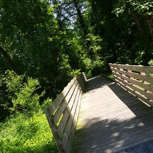 ADAMS RICCI PARK - Updated June 2025 - 26 Photos - 100 E Penn Dr, Enola ...