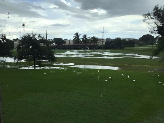 HOLLYBROOK GOLF & TENNIS CLUB CONDOMINIUM - Updated December 2025 - 12 ...