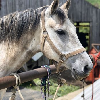 THE CROSSPATCH - Updated October 2025 - 17 Photos & 15 Reviews - 5281 ...