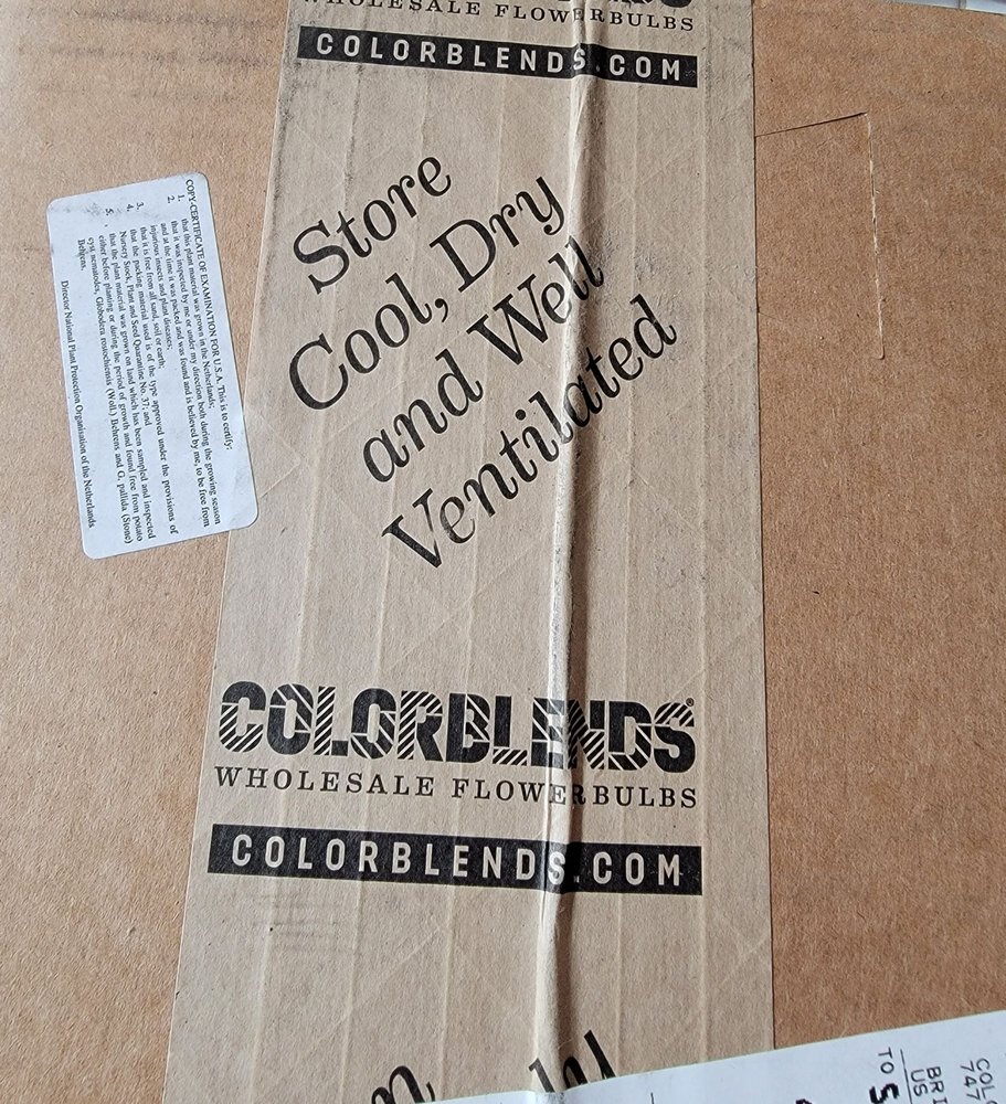 COLORBLENDS WHOLESALE FLOWERBULBS - Updated September 2025 - 32 Photos ...