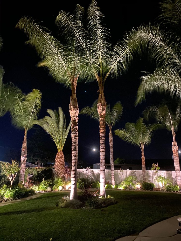 CENTRAL VALLEY LANDSCAPE & TREE - Updated February 2025 - 30 Photos ...