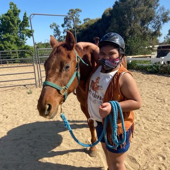 THE DINGLE FAMILY FARM AND STABLES - Updated February 2025 - 535 Photos ...