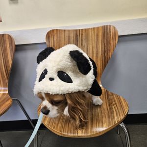 RYAN VETERINARY HOSPITAL - Updated September 2025 - 15 Photos & 195 ...