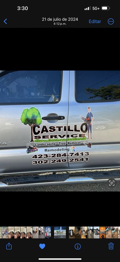 CASTILLO SERVICES - Updated January 2025 - Request Consultation - 780 ...