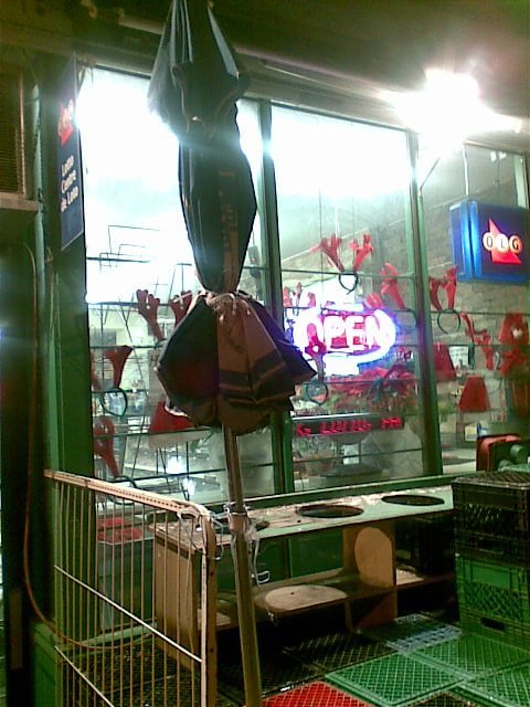 TOTAL CONVENIENCE & FLOWERS - Updated January 2025 - 819 Bloor St W ...