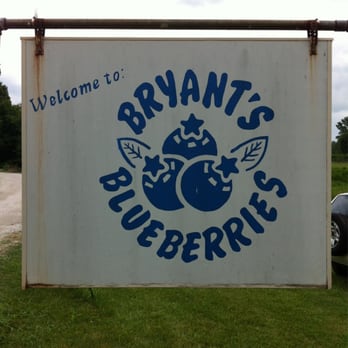 BRYANT BLUEBERRY FARM - Updated July 2025 - 38 Photos - 6900 Oak Park ...
