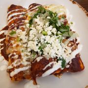 MAYA DEL SOL - 778 Photos & 1053 Reviews - Latin American - 144 S Oak ...