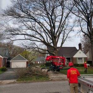 PR TREE SERVICE - Indianapolis, Indiana - Tree Services - Phone Number ...