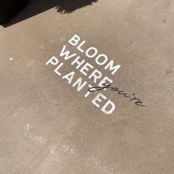 NINETY-TWO BAKERY & CAFE - Updated January 2025 - 95 Photos & 87 ...