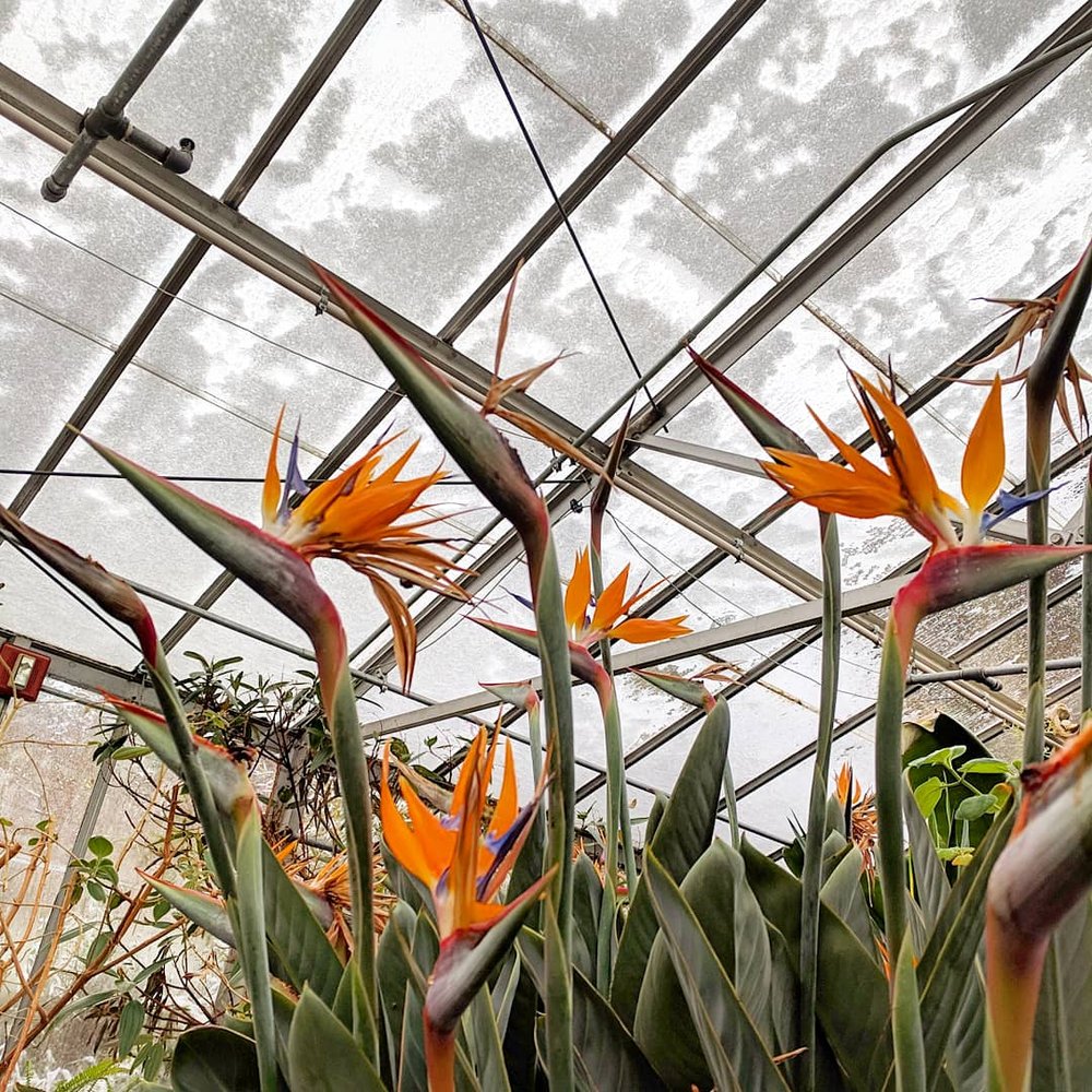 ROGER WILLIAMS PARK BOTANICAL CENTER - 170 Photos & 33 Reviews ...