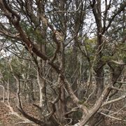 ORIENT BEACH STATE PARK - 107 Photos & 37 Reviews - 40000 Main Rd ...