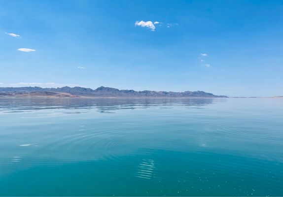 TEMPLE BAR RESORT & MARINA - Updated June 2025 - 23 Photos & 24 Reviews ...