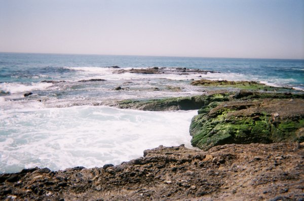 PHOTOSHACK - Updated September 2024 - 95 Photos & 136 Reviews - 4632 S ...