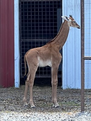 BRIGHT’S ZOO - Updated January 2026 - 95 Photos & 39 Reviews - 3425 Hwy ...