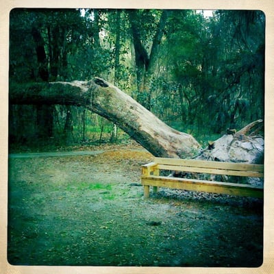 BIVENS ARM NATURE - 31 Photos - 3650 S Main St, Gainesville, Florida ...