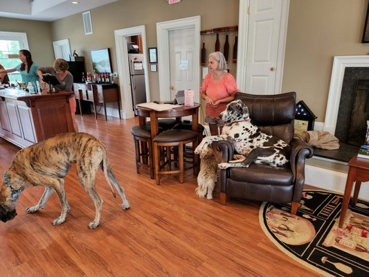 BRIX & COLUMNS VINEYARDS - Updated December 2025 - 178 Photos & 90 ...