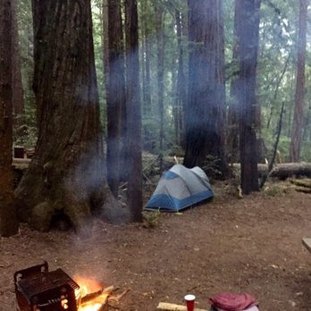 BUTANO STATE PARK - Updated September 2024 - 289 Photos & 118 Reviews ...