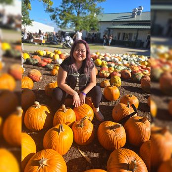 GOEBBERT’S FARM - Updated December 2025 - 341 Photos & 193 Reviews ...