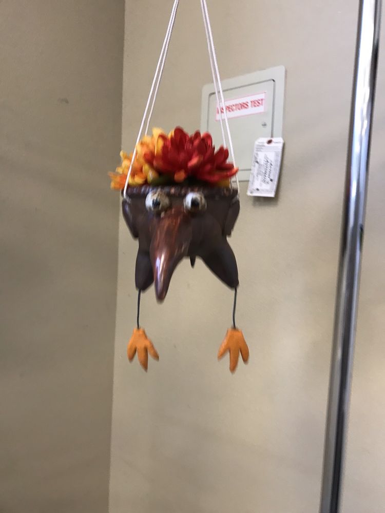 Arizona Artists Guild, Phoenix | Roadtrippers