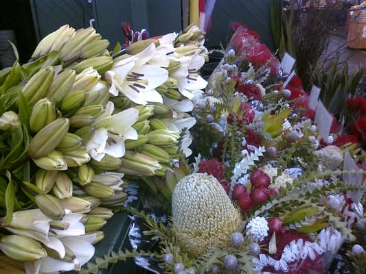 CENTRAL MARKET FLOWERS - Updated August 2025 - 10 Photos - Stall 7 ...