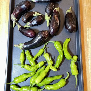 SUB EDGE FARM - Updated October 2025 - 112 Photos - 199 Town Farm Rd ...