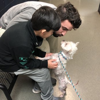 CMPD ANIMAL CARE AND CONTROL - Updated October 2025 - 34 Photos & 30 ...