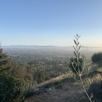 BERKELEY FIRE TRAILS - Updated September 2025 - 459 Photos & 109 ...