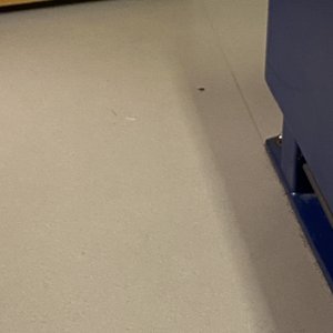 EUSTASIS PSYCHIATRIC AND ADDICTION HEALTH - Updated October 2025 - 35 ...