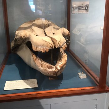 THE WHALING MUSEUM & EDUCATION CENTER - Updated October 2025 - 18 ...