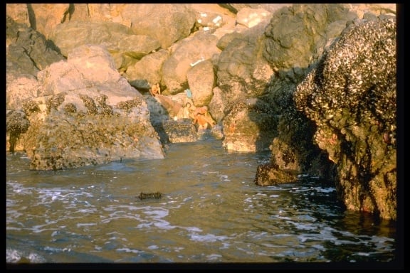 ROCKY POINT HOT SPRINGS - Updated December 2025 - Hwy 1, Muir Beach ...