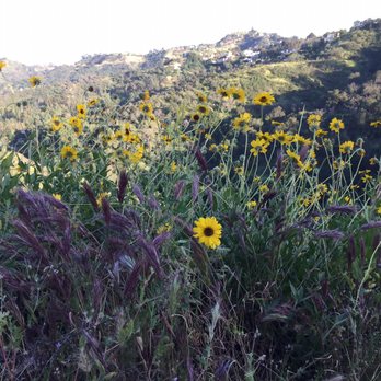 WILACRE PARK - Updated March 2024 - 419 Photos & 170 Reviews - 3431 ...