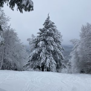 THE HERMITAGE CLUB AT HAYSTACK MOUNTAIN - Updated June 2025 - 13 ...