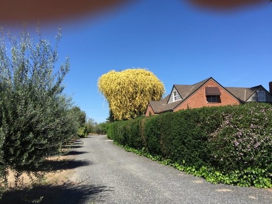 ZINC HOUSE FARM - 20679 CA-120, Escalon, California - Attraction Farms ...