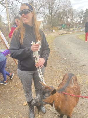 PHILLY GOAT PROJECT - Updated September 2025 - 6336 Ardleigh St ...