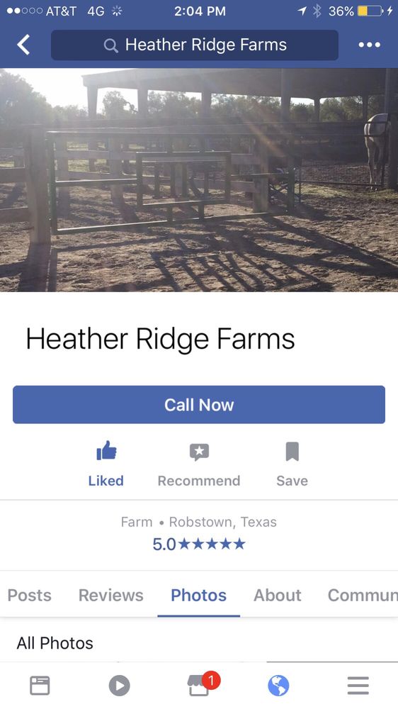 HEATHER RIDGE FARM - Updated December 2025 - 5418 Co Rd 73, Robstown ...