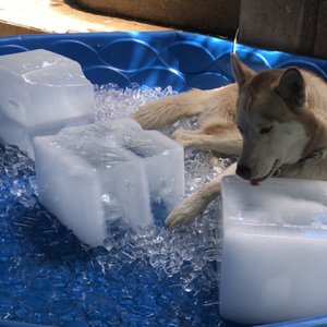 ANDERSON ICE - Ice Delivery - 3617 W Jefferson Blvd, Los Angeles ...