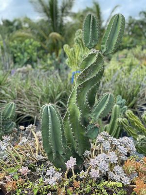 ISAAC FARMS - Updated May 2025 - 456 Photos & 112 Reviews - 18800 SW ...